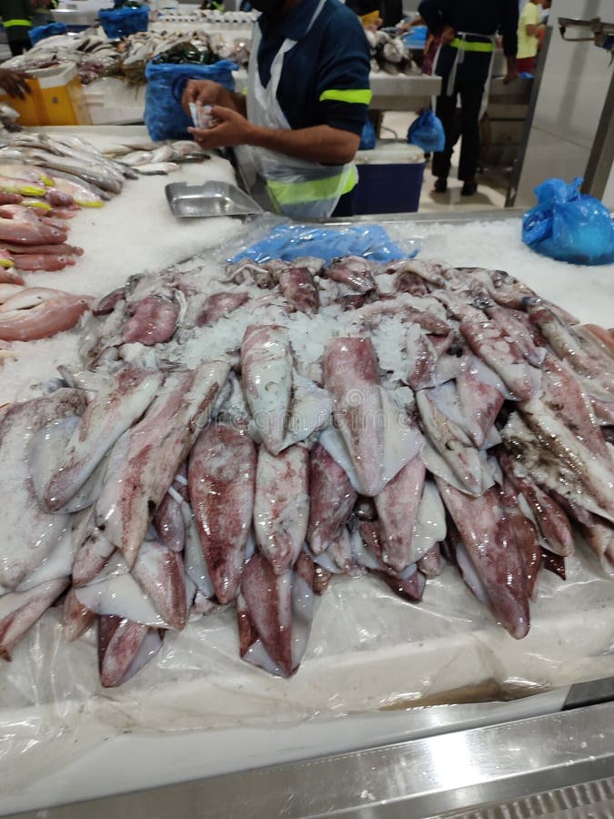 Fish and Seafood Market in Dubai UAE Editorial Stock Image - Image of ...