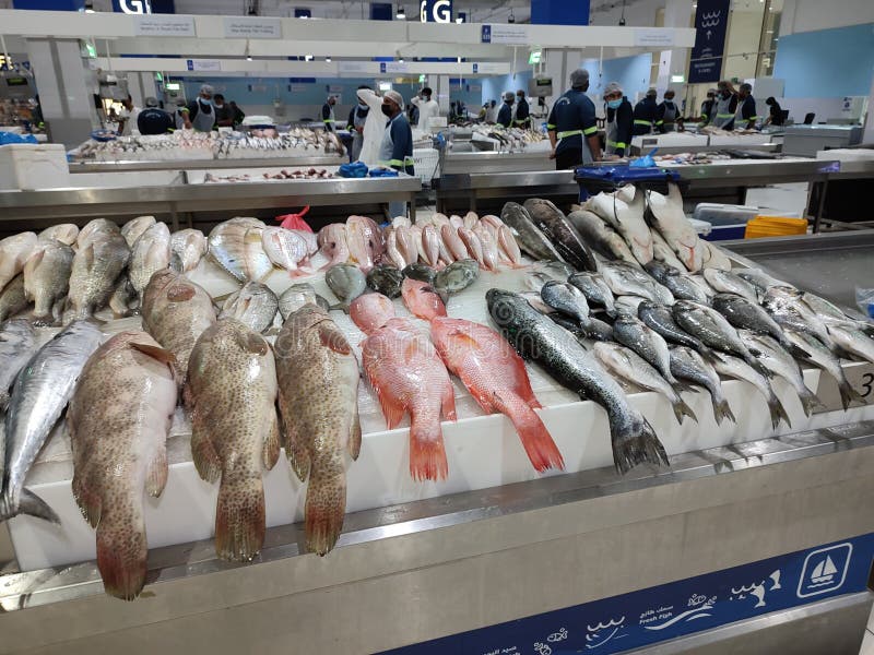 Fish and Seafood Market in Dubai UAE Editorial Stock Photo - Image of ...