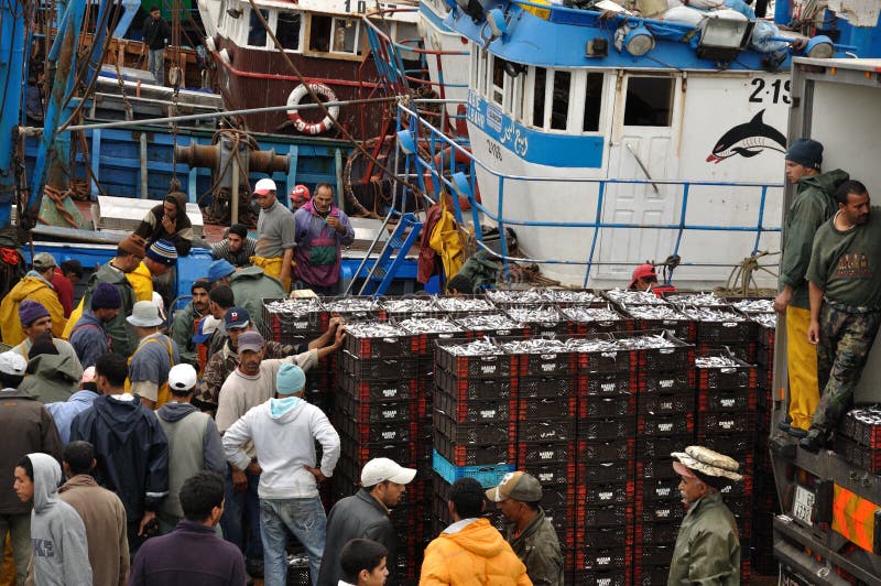 Fish Market in Essaouria, Morocco Editorial Image - Image of essaouria ...