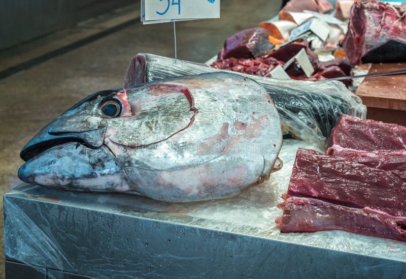 Fish market stock photo. Image of fishing, cool, buying - 100569060