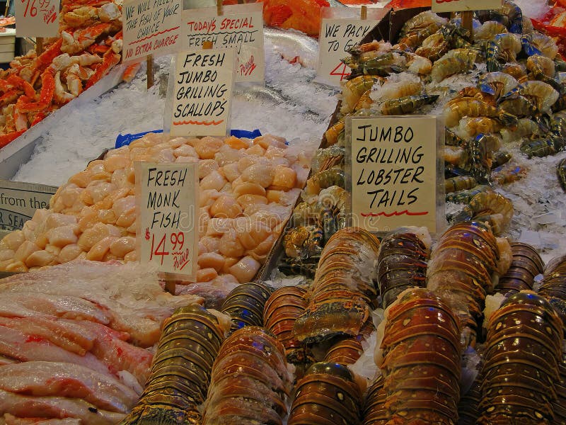 Fish Market Fresh Seafood on Display Stock Image - Image of fresh, fish ...