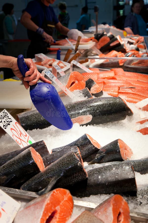 Fish Market, Fresh Fish in Street Market, Fresh Fish, Social Issue ...
