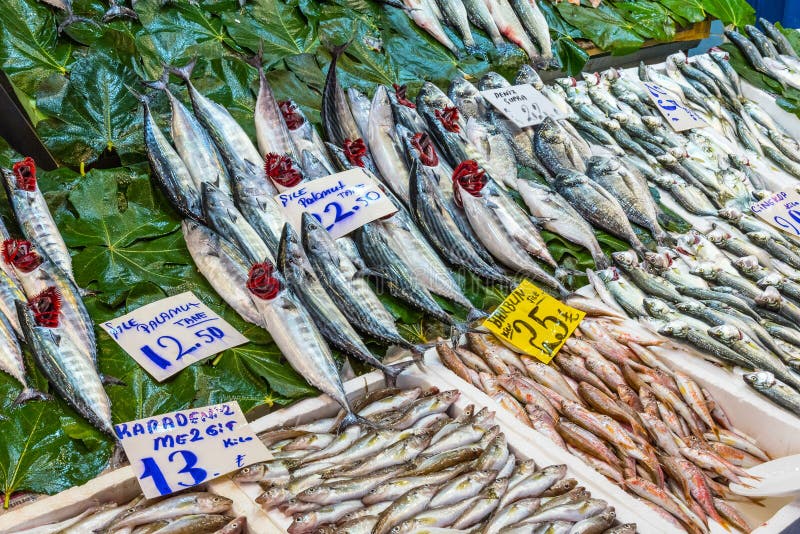 Fish market in Istanbul stock photo. Image of fishing - 73764704