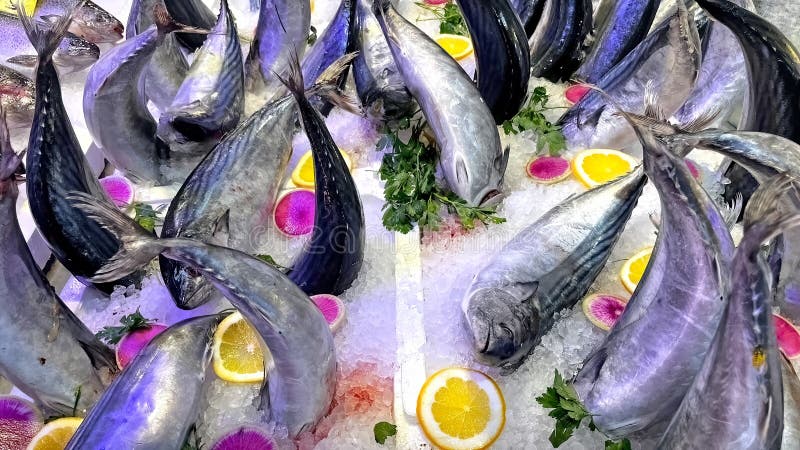In the Fish Market, Mackerel Fish are Broken and on Ice Stock Image ...