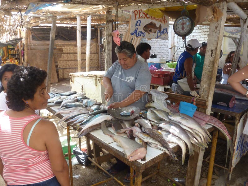 Fish market. editorial stock image. Image of tuna, vendor - 33727804