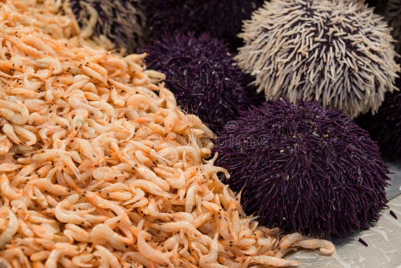 Fish Market with Many Different Fresh Fishes Stock Image - Image of ...