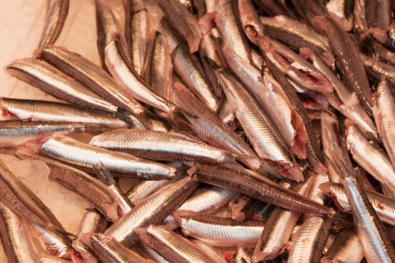 Fish Market with Many Different Fresh Fishes Stock Photo - Image of ...