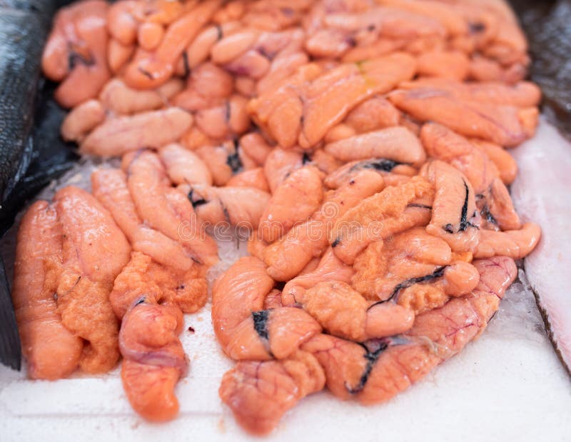 Fish Market with Many Different Fresh Fishes Stock Image - Image of ...