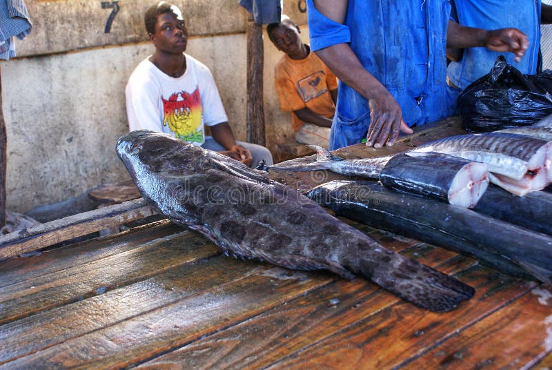 Fish Market editorial photography. Image of indian, fish - 79996157