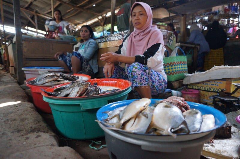 Fish market editorial photography. Image of bazaar, banyuwangi - 60227372