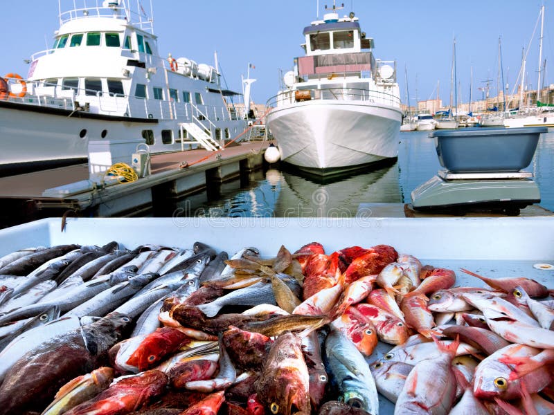Fish Market in the Old Port of Marseille. Stock Photo - Image of port ...
