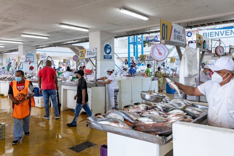 Fish Market in Panama City, Panama. Editorial Image - Image of america ...