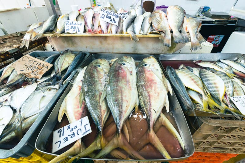 Fish Market in Panama City, Panama. Stock Photo - Image of people ...