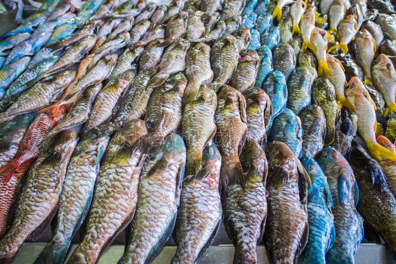 Rangiroa Atoll and Lagoon Near Tiputa Pass - French Polynesia Stock ...