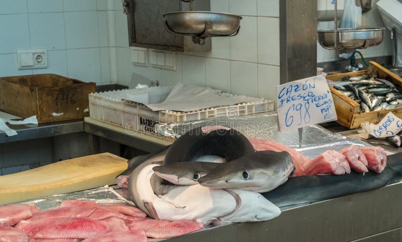 Fish market stock photo. Image of large, hawker, crowded - 101008538