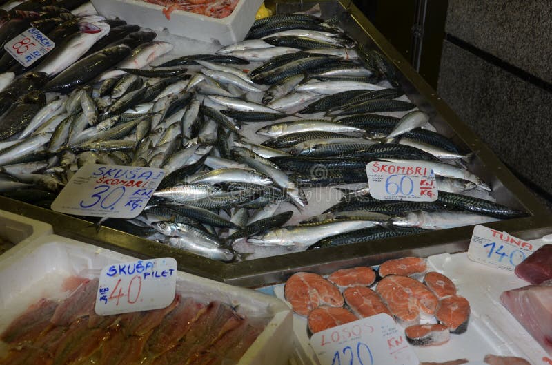 Fish Market in Pula, Fresh Fish Stock Photo - Image of hobotnica ...