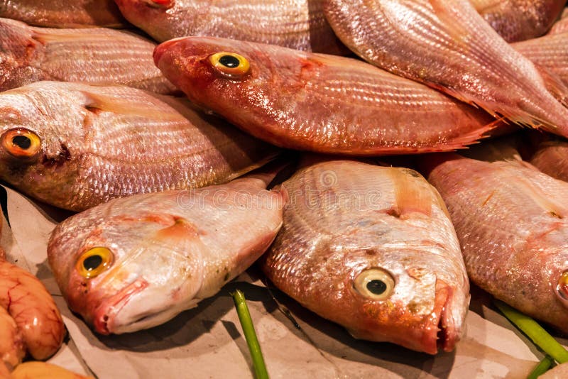 Cod fish stock image. Image of meat, oceanarium, middle - 29476777