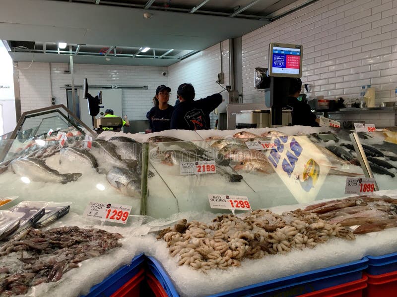 Fish market editorial photography. Image of australia - 95322697