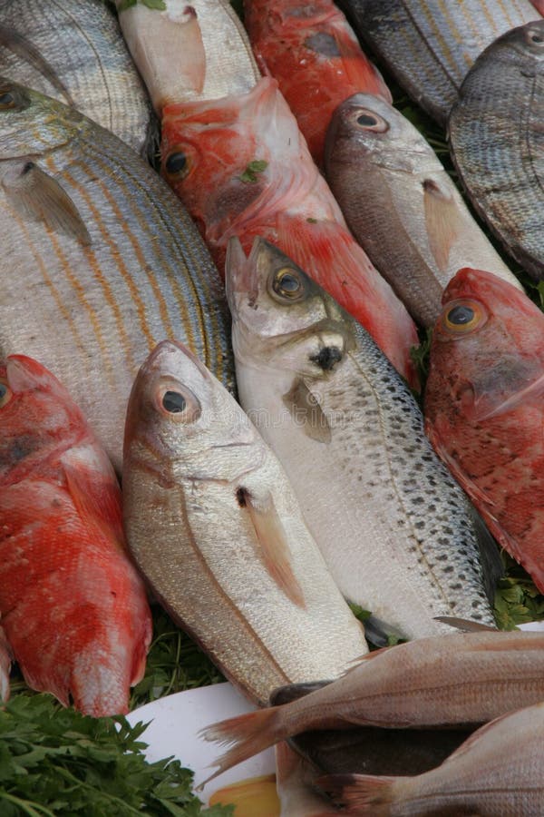 Fish market stock image. Image of rare, sale, market - 40093493