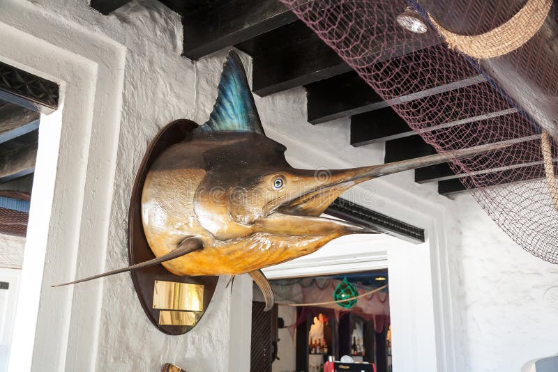 Fish marlin stock image. Image of head, leaping, bill - 47241565