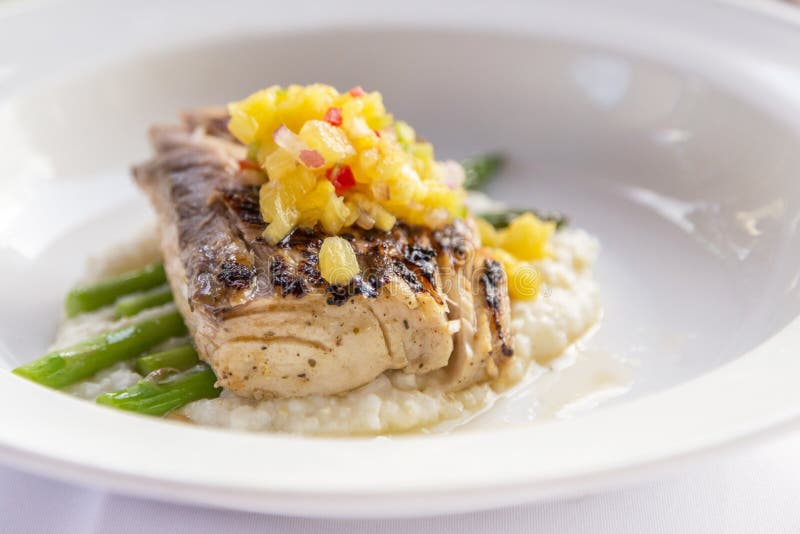 Plated fish meal stock photo. Image of white, dinner - 61849300