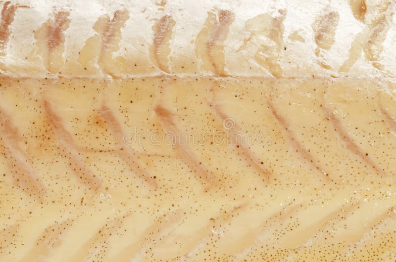 Fish Meat Texture Background Stock Image - Image of slice, white: 49453271