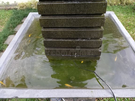 Fish melon water stock image. Image of fish, stone, garden - 263522319