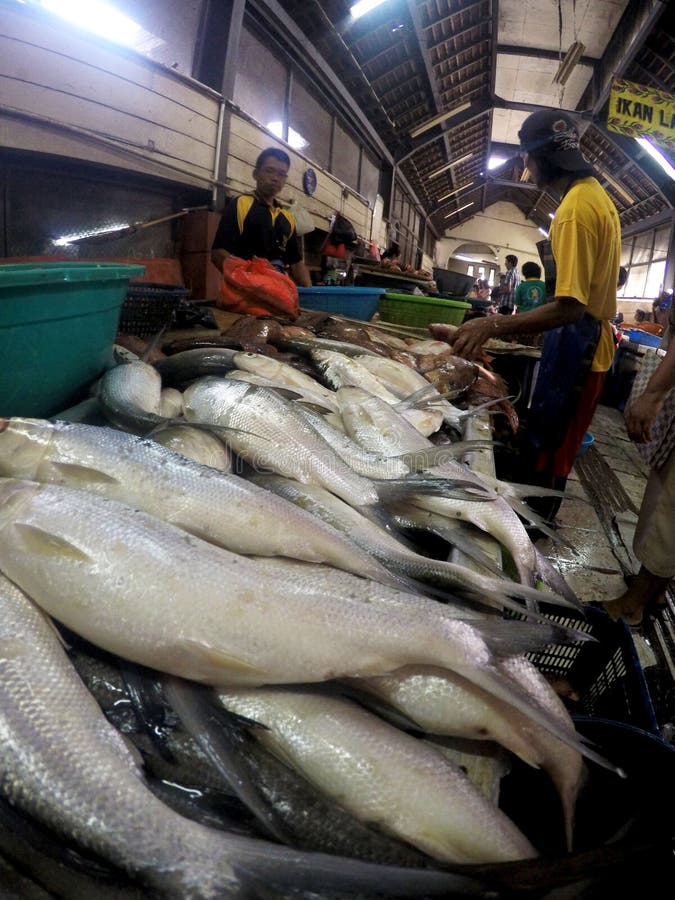 Fish editorial photo. Image of sell, city, java, business - 49168146