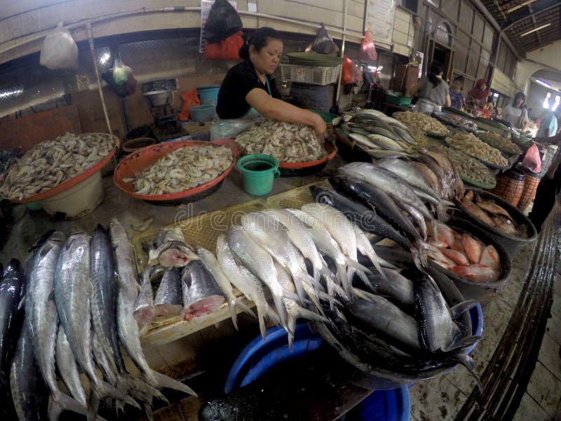 Fish editorial stock photo. Image of solo, people, central - 49168258