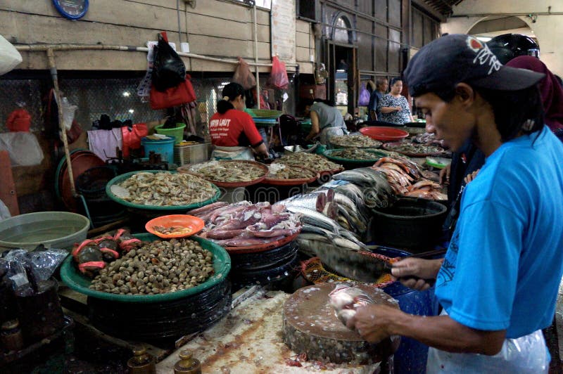 Fish editorial image. Image of bazaar, marketplace, cuisine - 55608155