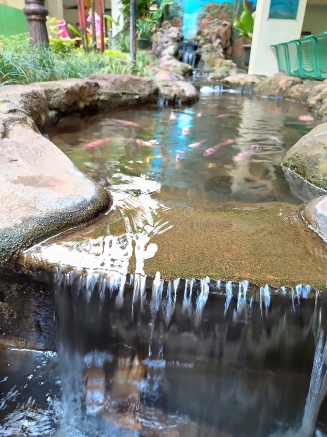 Fish in a minimalist pond stock image. Image of pond - 322673279