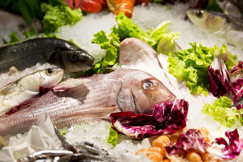 Fish stock image. Image of lobster, bass, venice, fresh - 38865869