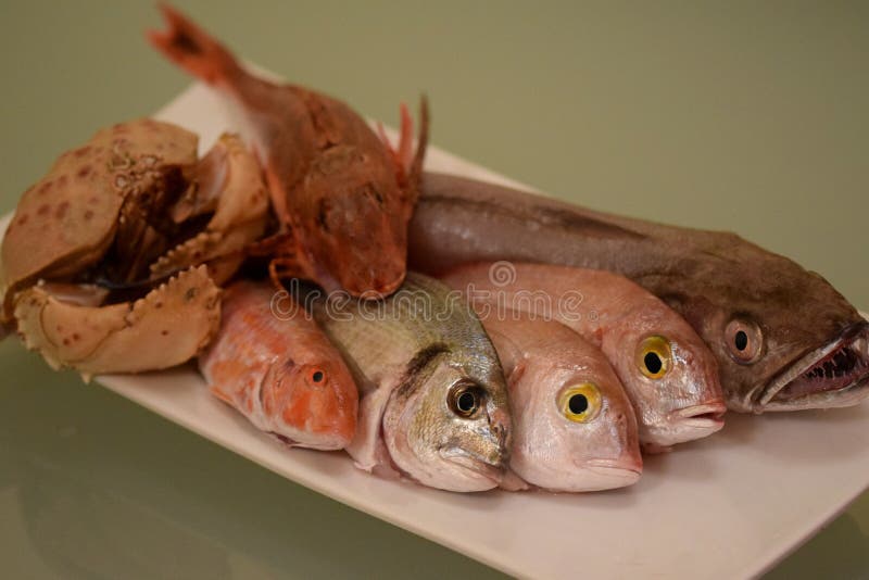 Fish mixture for a stew stock image. Image of mixture - 107533185