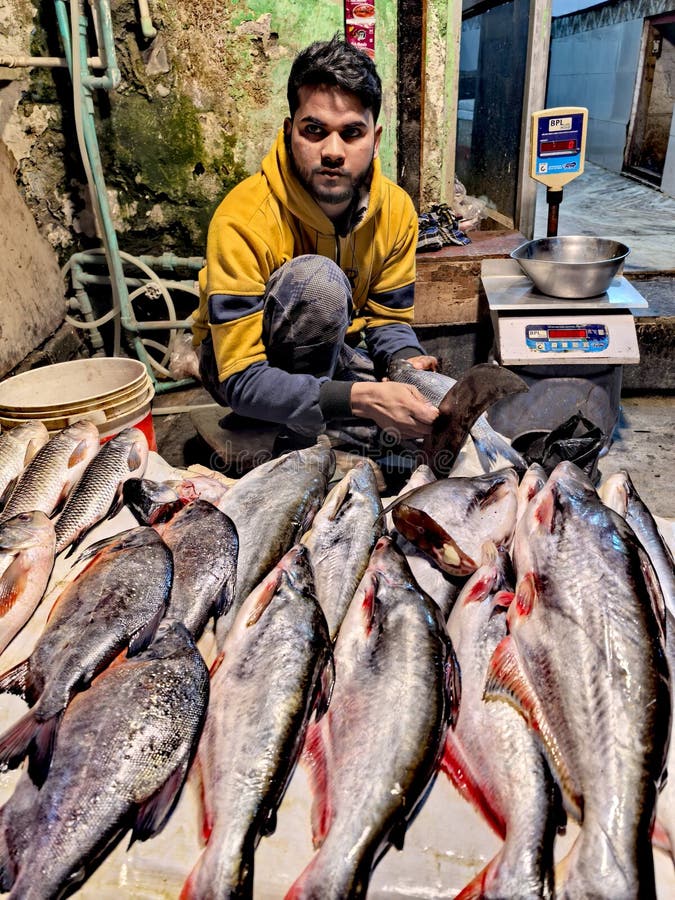 Fish Monger on the Streets of Delhi.India Editorial Image - Image of ...
