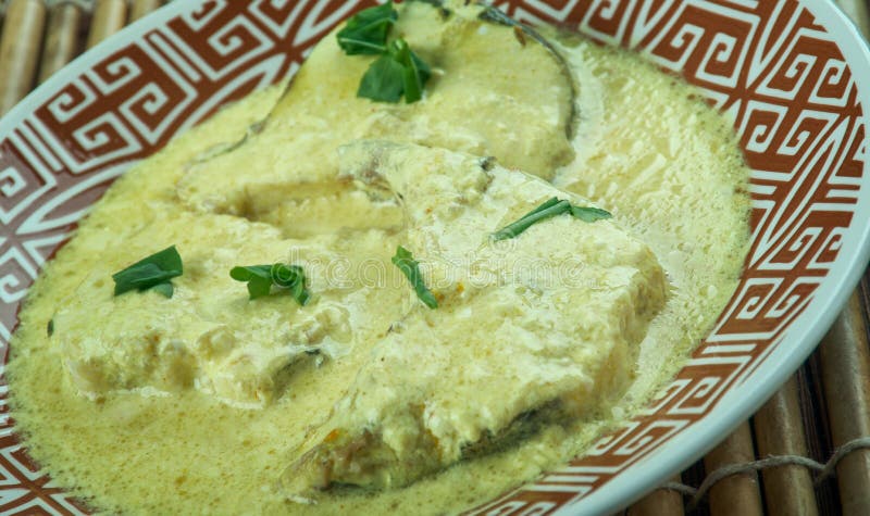 Fish moolie stock photo. Image of origin, molee, meen - 92246236