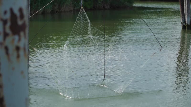 Fish Net is Pulled Out of the Water Stock Footage - Video of river ...