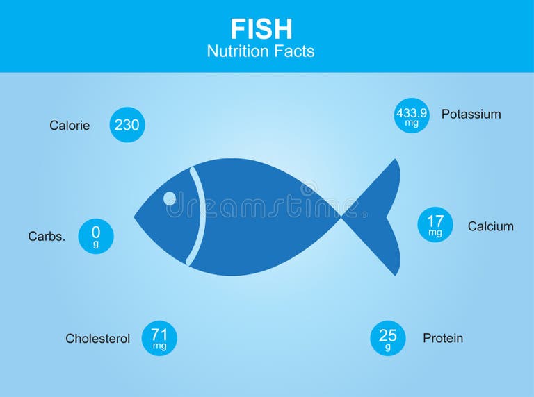 Fish Nutrition Facts, Fish with Information, Fish Vector Stock Vector ...