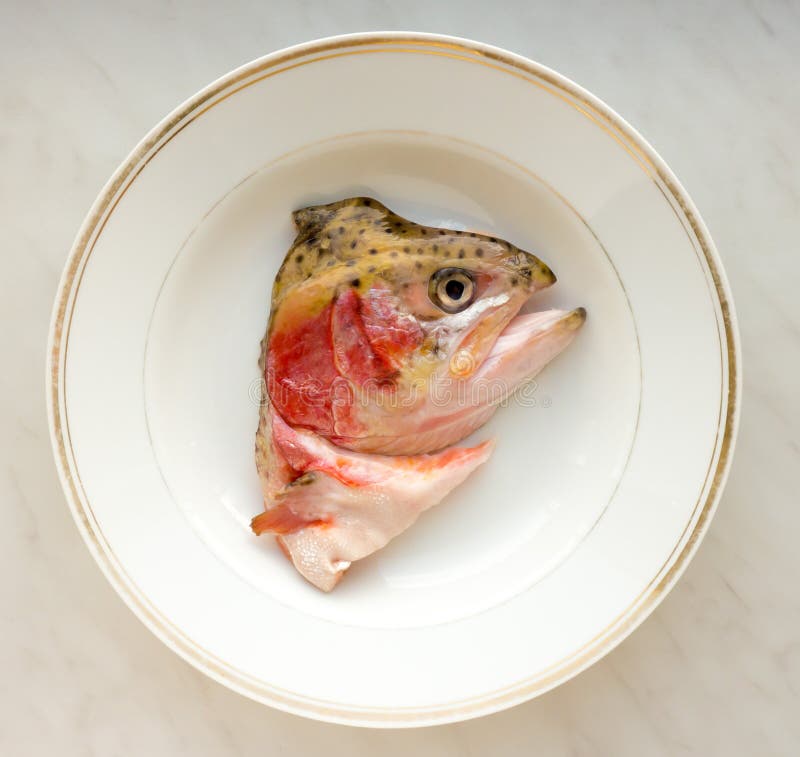 The Fish object. stock image. Image of protein, salted - 124541369