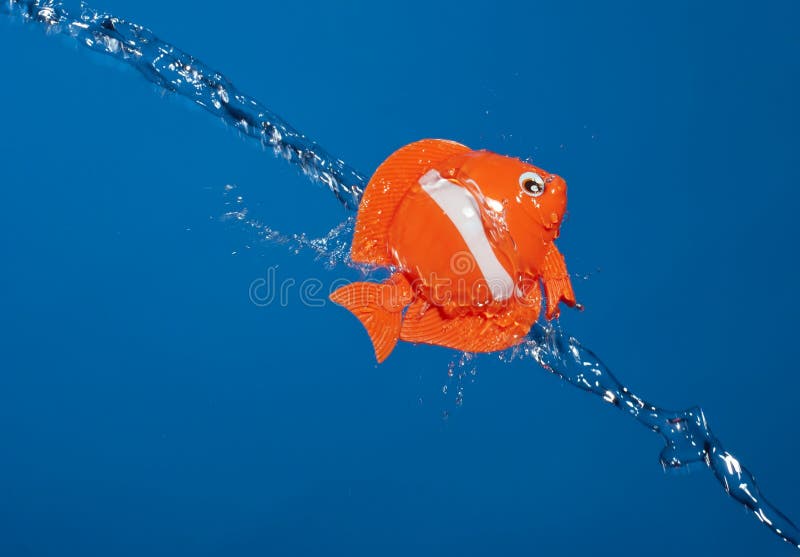 14,010 Water Splash Fish Stock Photos - Free & Royalty-Free Stock ...