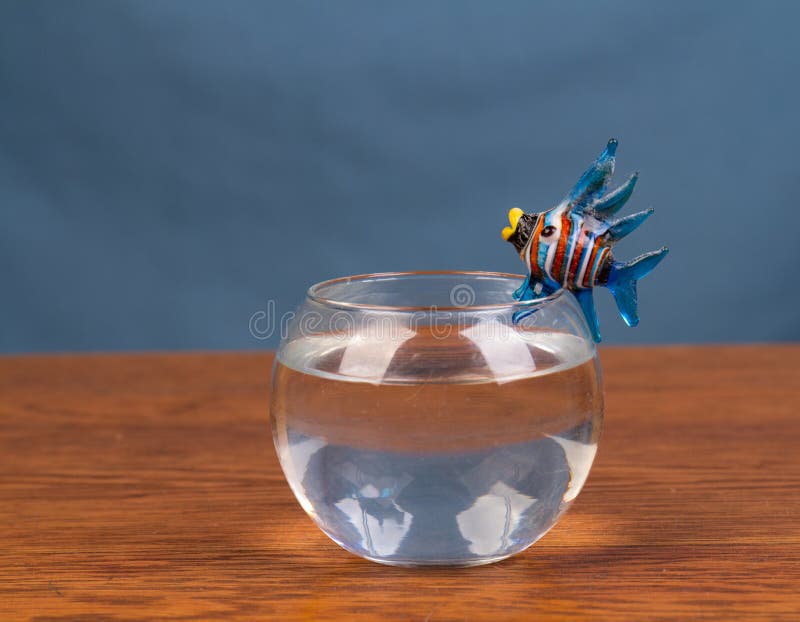 A fish out of water stock image. Image of pressure, median - 118846271
