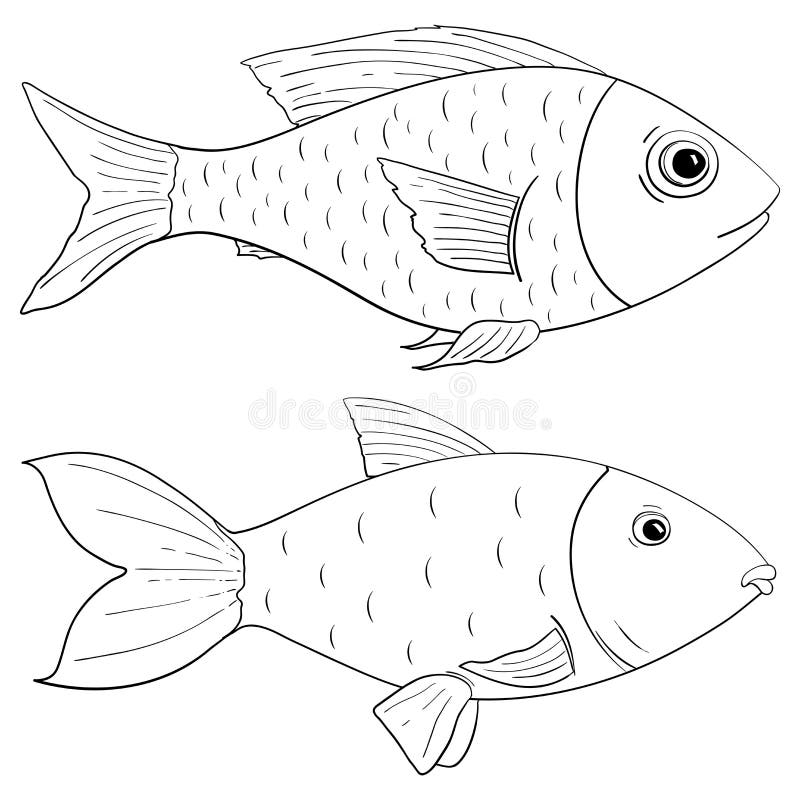Fish Outline Stock Illustrations – 141,362 Fish Outline Stock ...