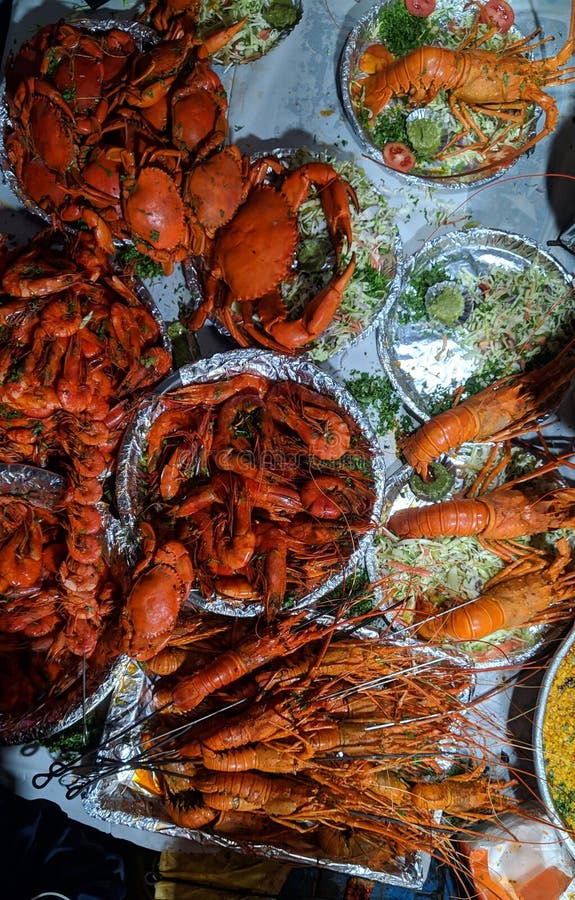 Fish Paradise for Fish Lover Stock Photo - Image of crabs, paradise ...