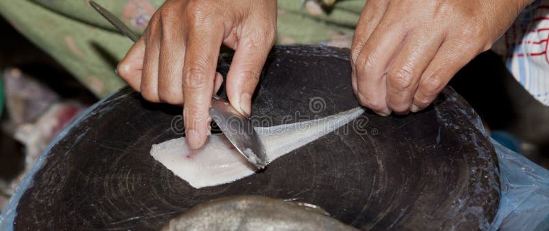 Fish paste preparation stock image. Image of fresh, fish - 32311305