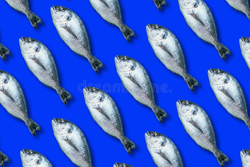 Fish Pattern on Blue Background. Top View. Creative Design for ...