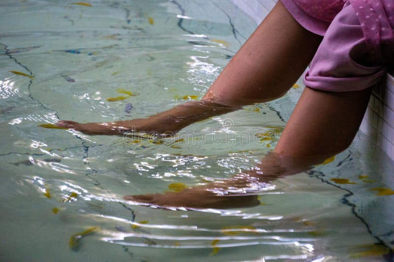 Fish Pedicures, Also Known As Garra Rufa Therapy. this Fish Eats Dead ...