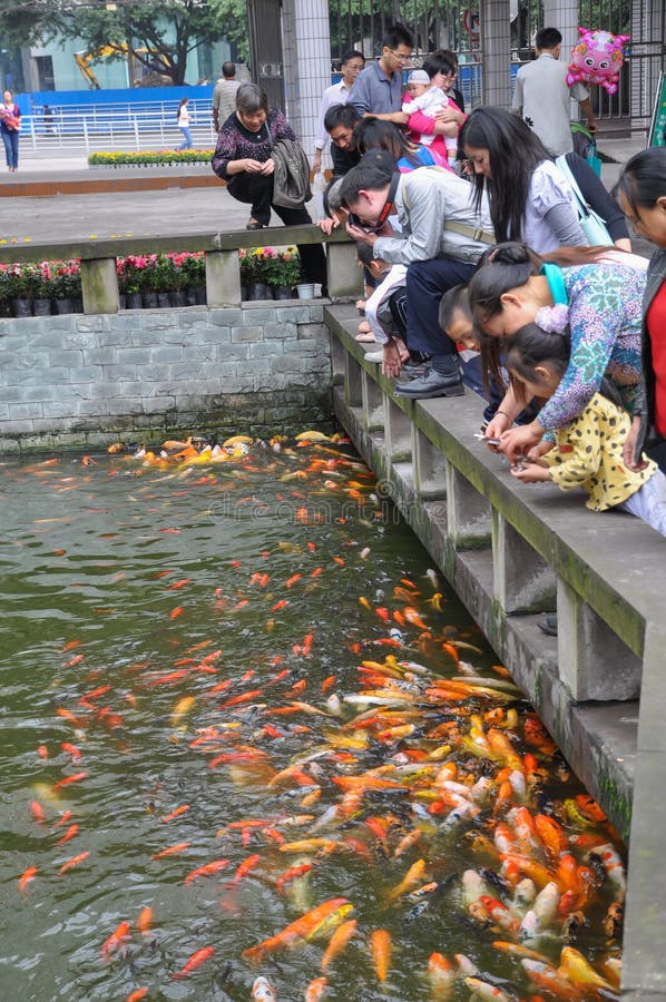 Fish and People in Park editorial stock image. Image of habitably ...