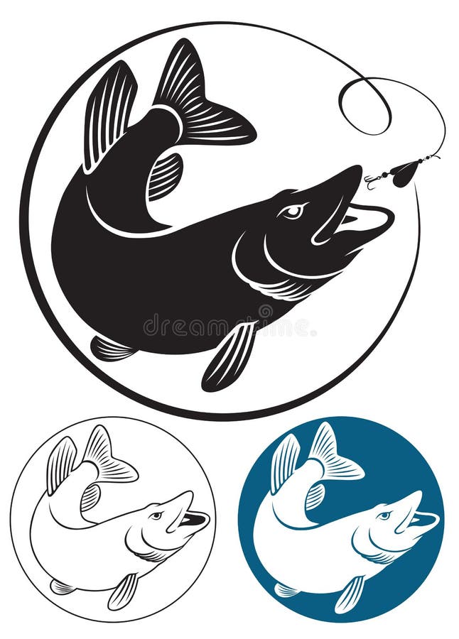 Pike fish stock vector. Illustration of freshwater, icon - 26885044