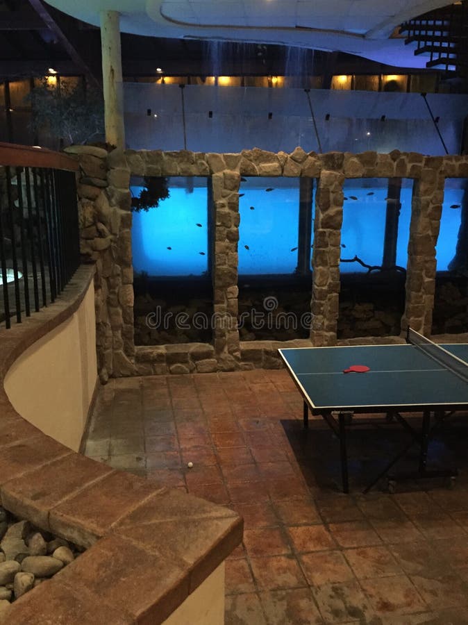 Ping Pong Fish Game Stock Photos - Free & Royalty-Free Stock Photos ...