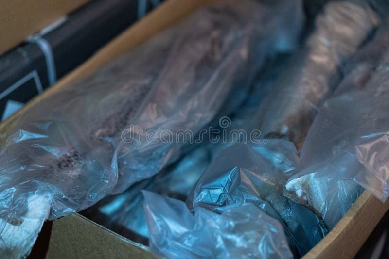 Fish in Plastic Bags in Large Numbers Stock Photo - Image of nutrition ...