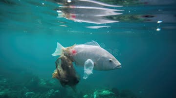 Fish and Plastic Pollution. Envrionmental Problem - Plastics ...